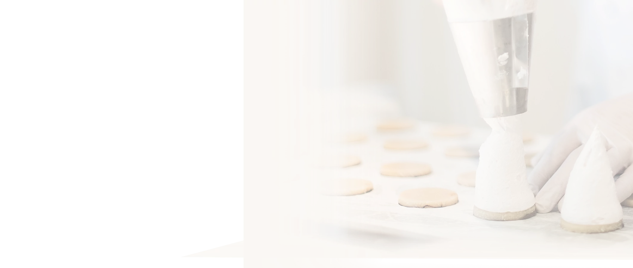 Tacchi Studios - アプリ＆ウェブデザイン＆開発スタジオ