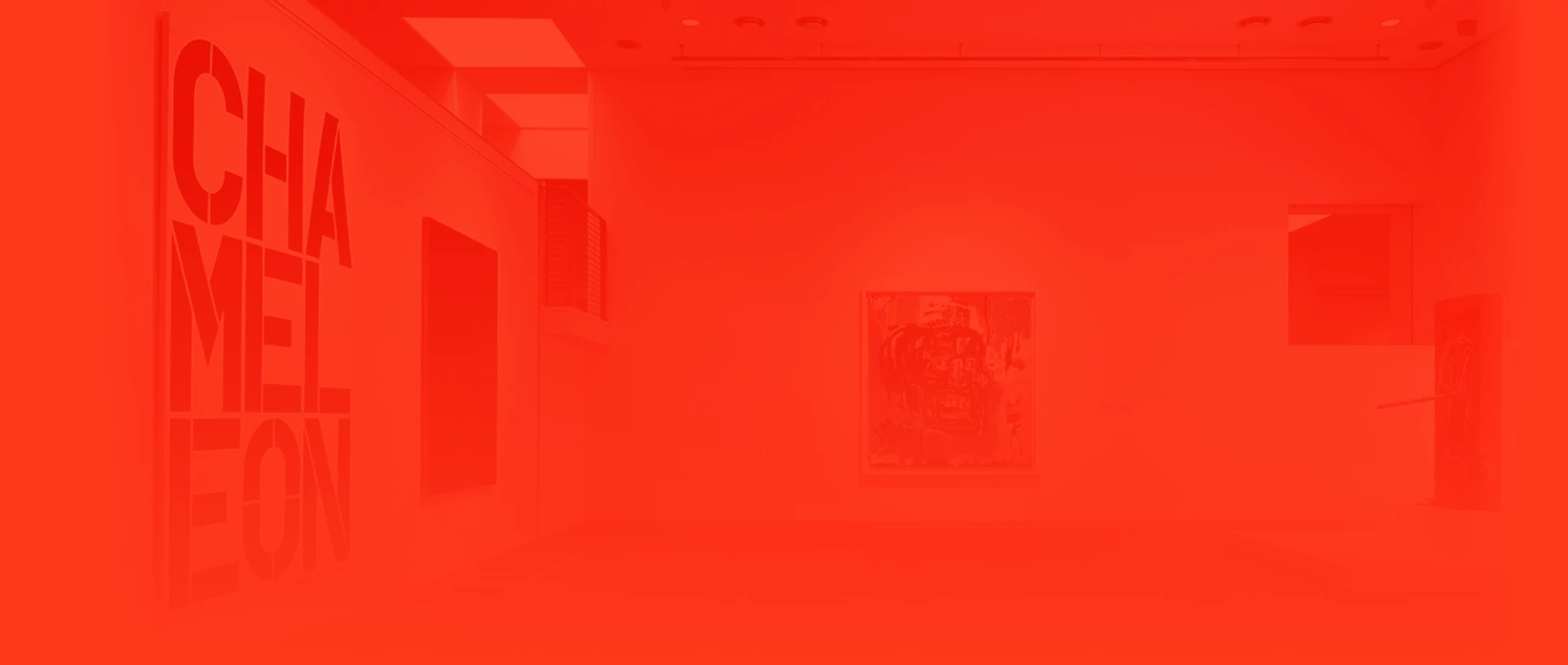 Tacchi Studios - Web & mobile app design & development