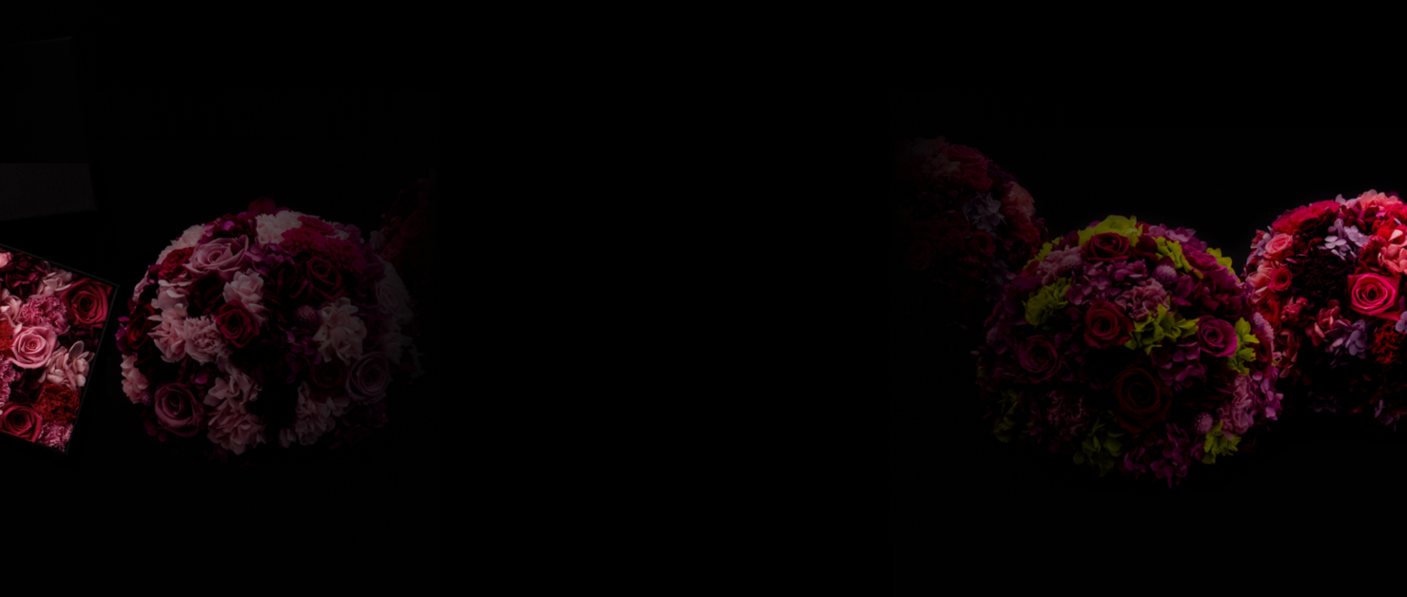 Tacchi Studios - Web & mobile app design & development