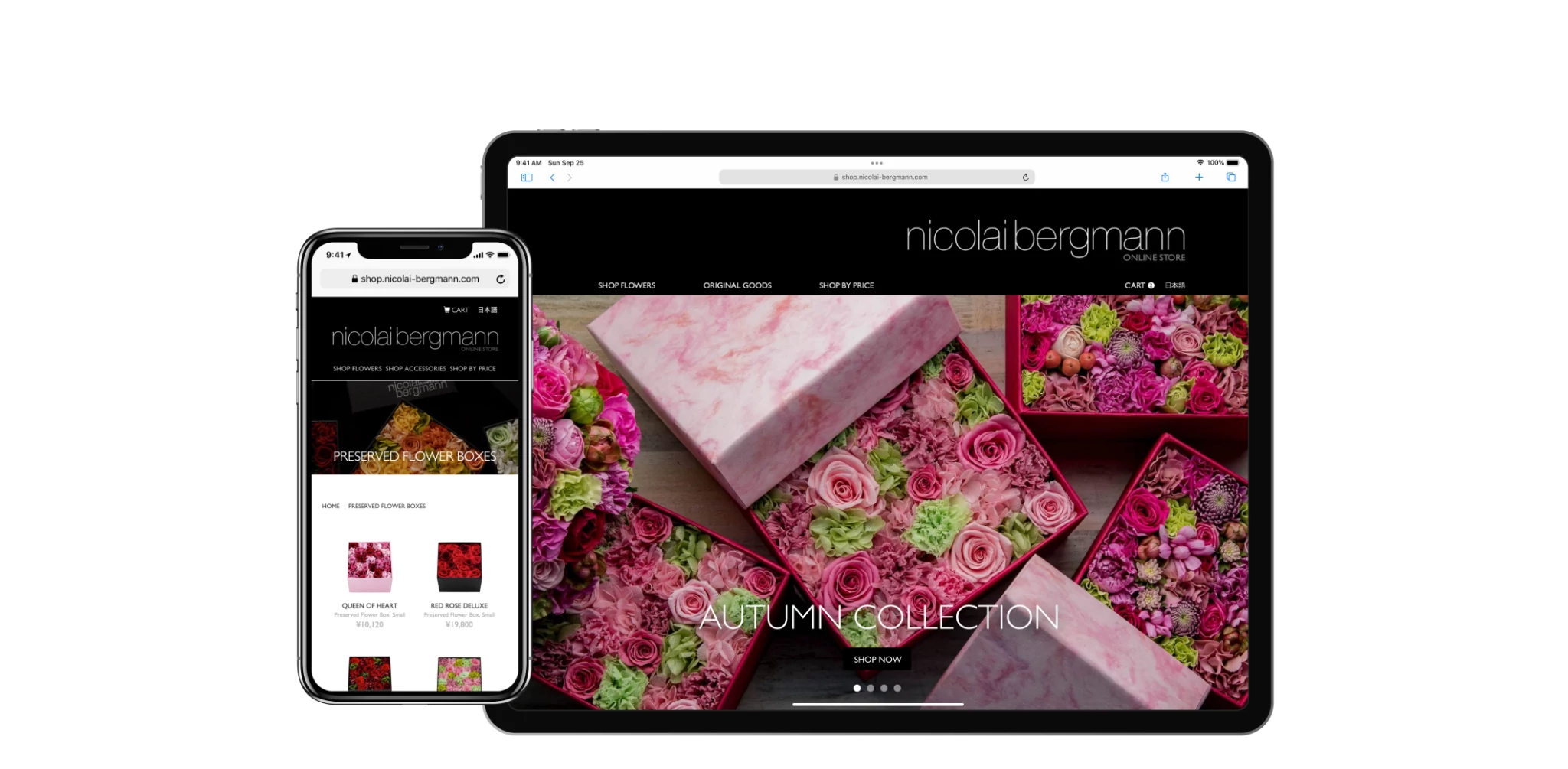 Tacchi Studios - Web & mobile app design & development