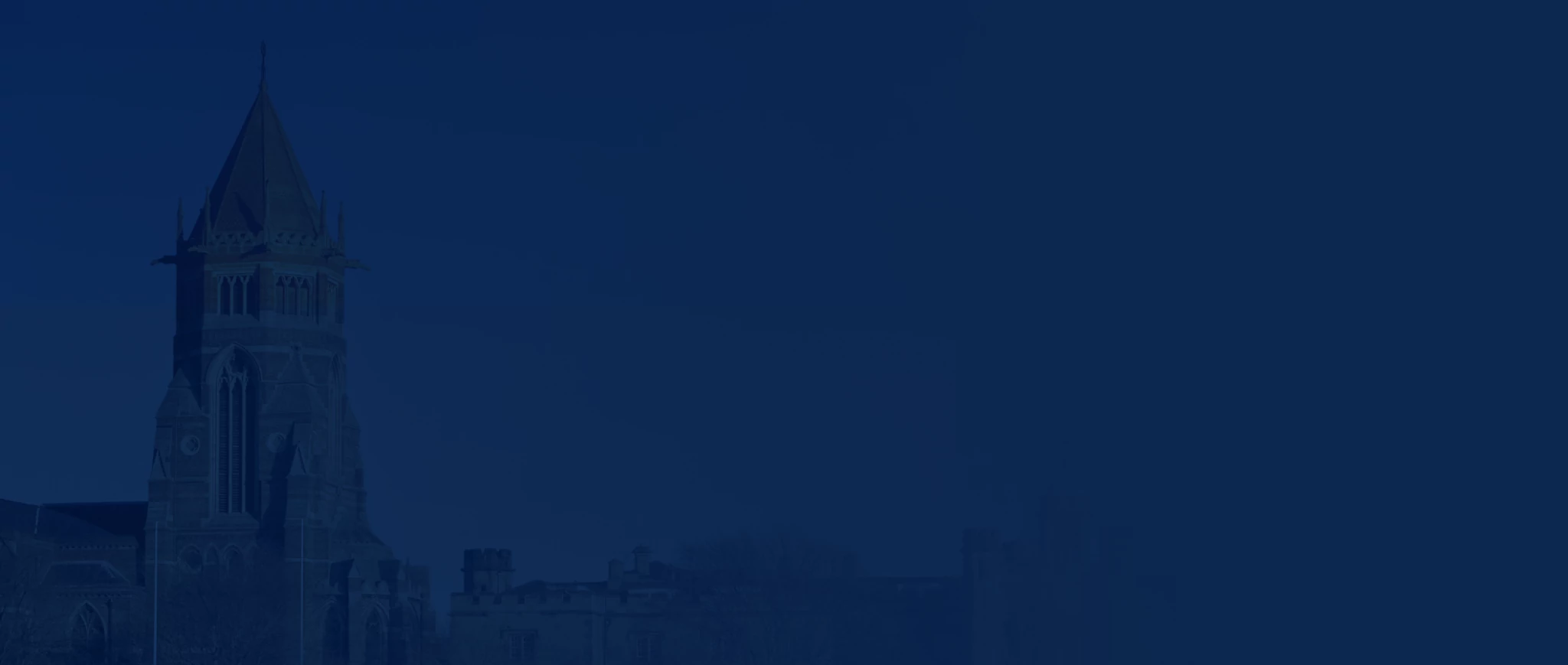 Tacchi Studios - Web & mobile app design & development