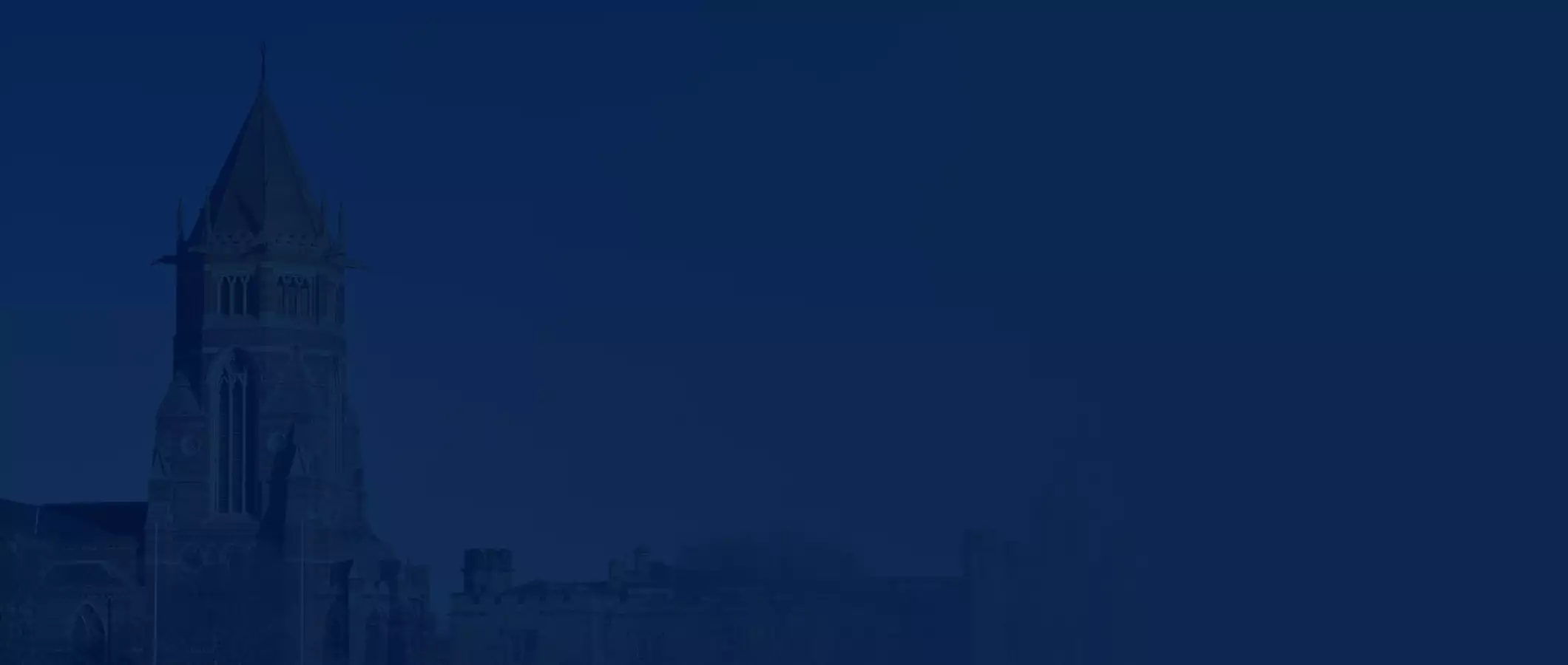 Tacchi Studios - Web & mobile app design & development