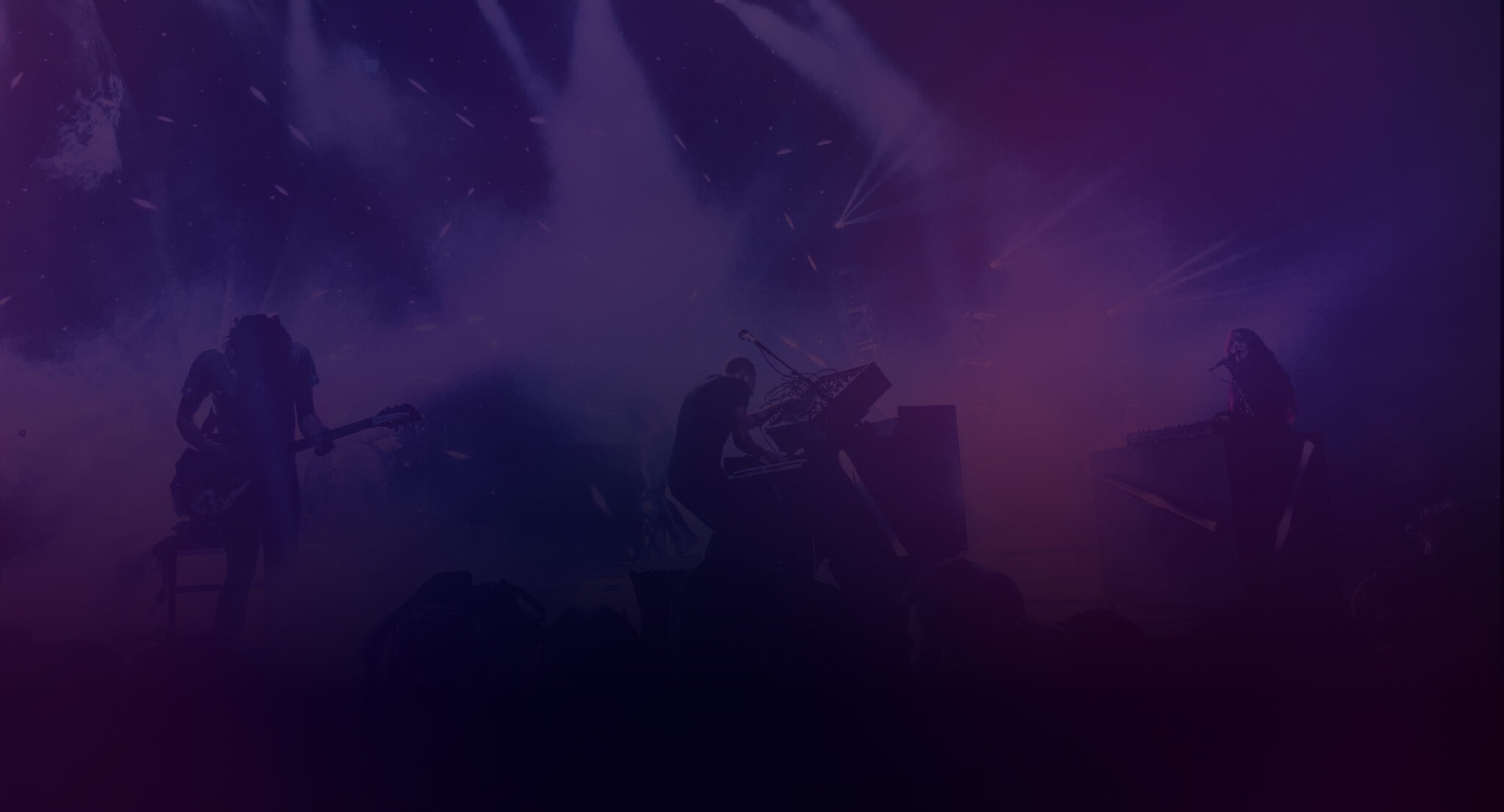 Zaiko - Tacchi Studios